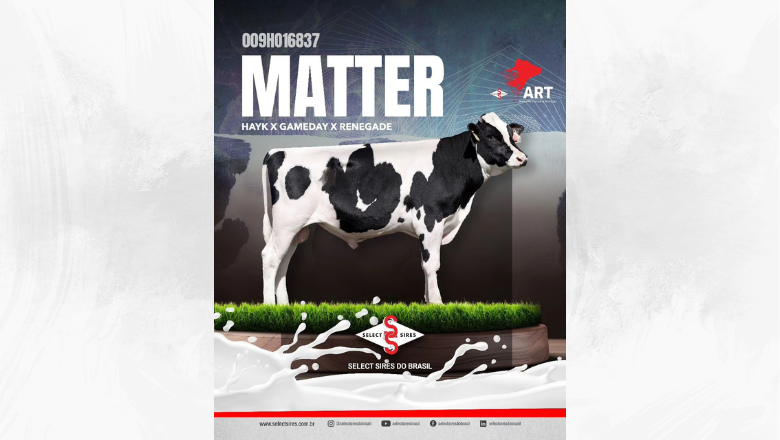 Conheça 009HO16837 MATTER: a nova estrela do rebanho! | Notícia ...