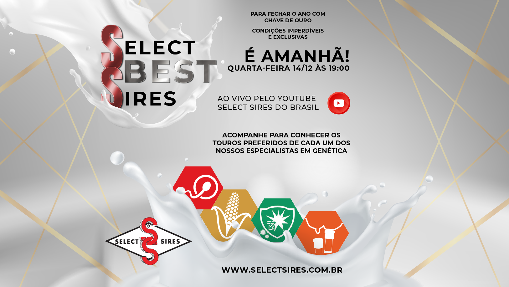 É amanhã! - SELECT BEST SIRES | Notícia | Select Sires