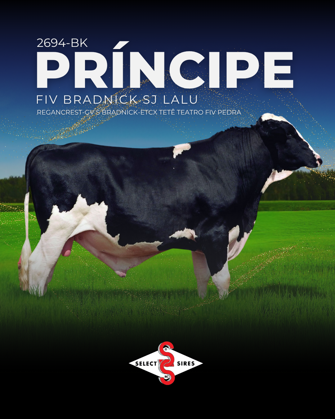 NOTA DE FALECIMENTO - PRÍNCIPE | Notícia | Select Sires