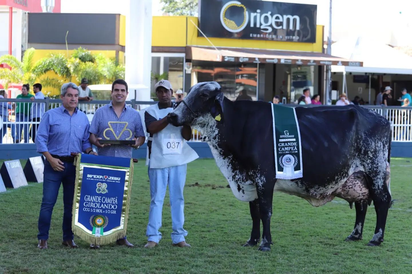 Grande Campeã 1/2 Sangue Expozebu 2023 filha de Planet! | Notícia ...