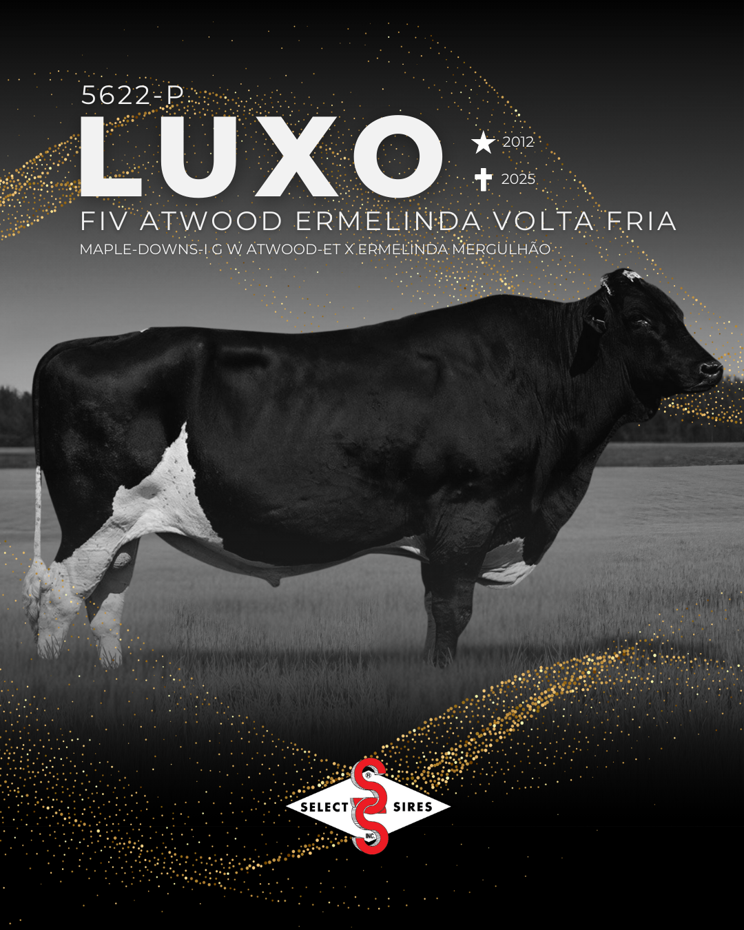 LUXO FIV ATWOOD ERMELINDA VOLTA FRIA | Notícia | Select Sires