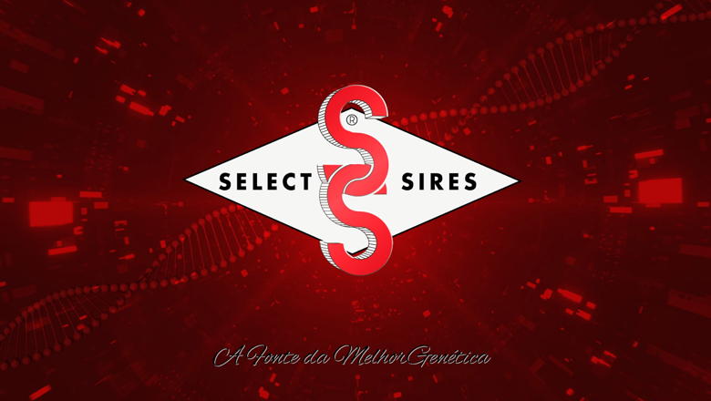 RETROSPECTIVA 2022 SELECT SIRES DO BRASIL | Notícia | Select Sires