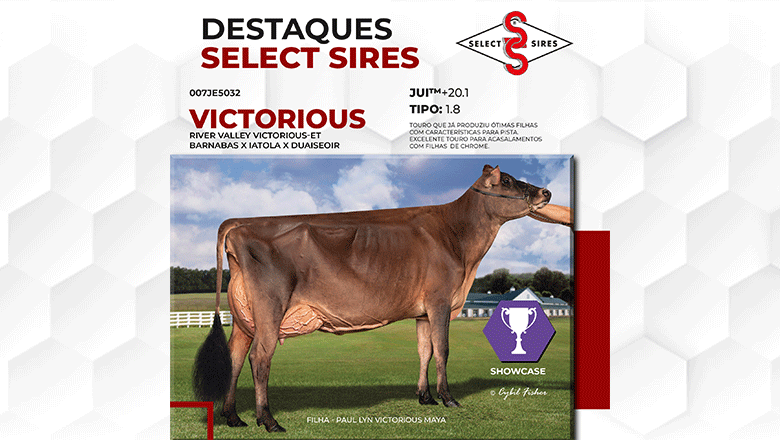 Destaques SELECT SIRES - SHOWCASE | Notícia | Select Sires