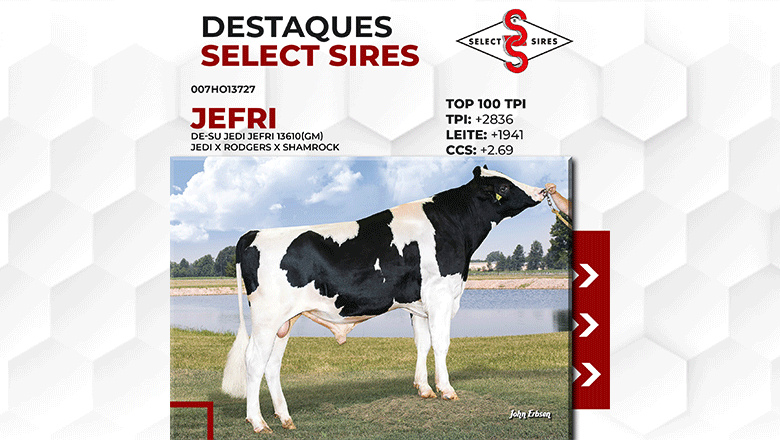 DESTAQUES SELECT SIRES - PROVADOS E GENÔMICOS | Notícia | Select Sires