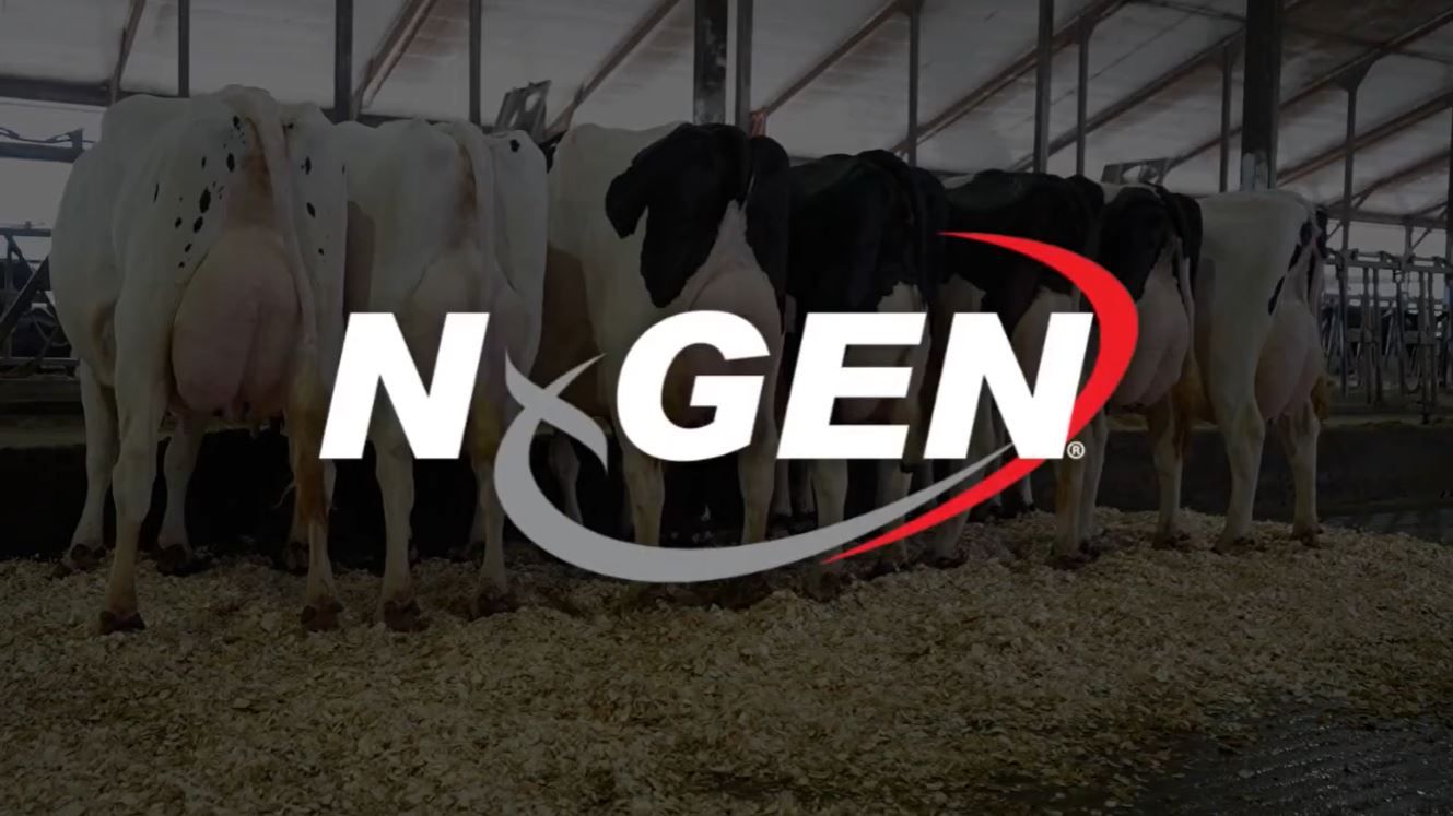 O NxGEN está revolucionando a genética | Notícia | Select Sires