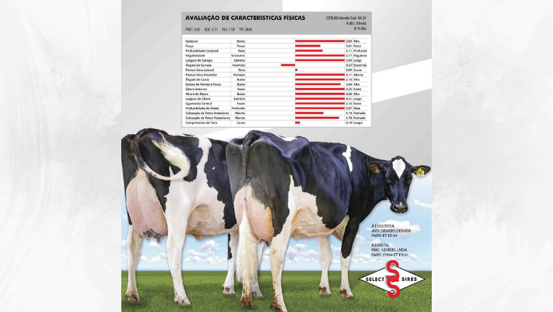 Touros Disponíveis - Select Sires | Notícia | Select Sires