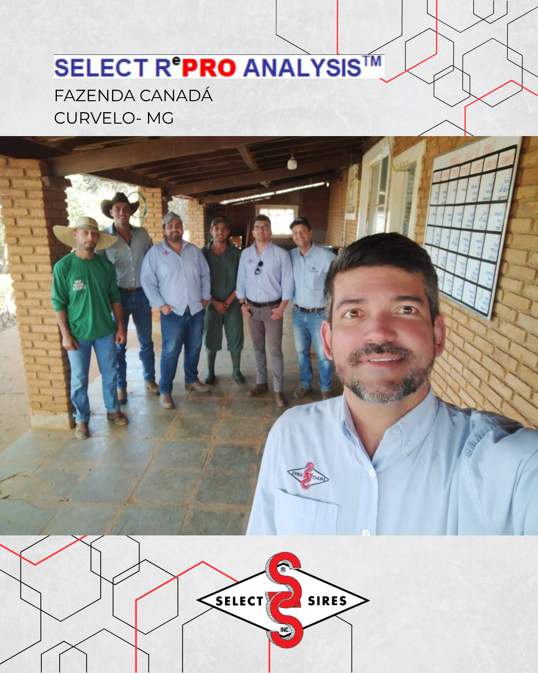 SELECT REPRO ANALYSIS | Notícia | Select Sires