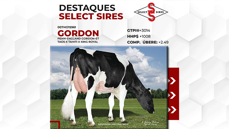 DESTAQUES SELECT SIRES - PROVADOS E GENÔMICOS | Notícia | Select Sires