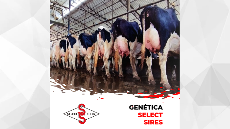 GENÉTICA SELECT SIRES | Notícia | Select Sires